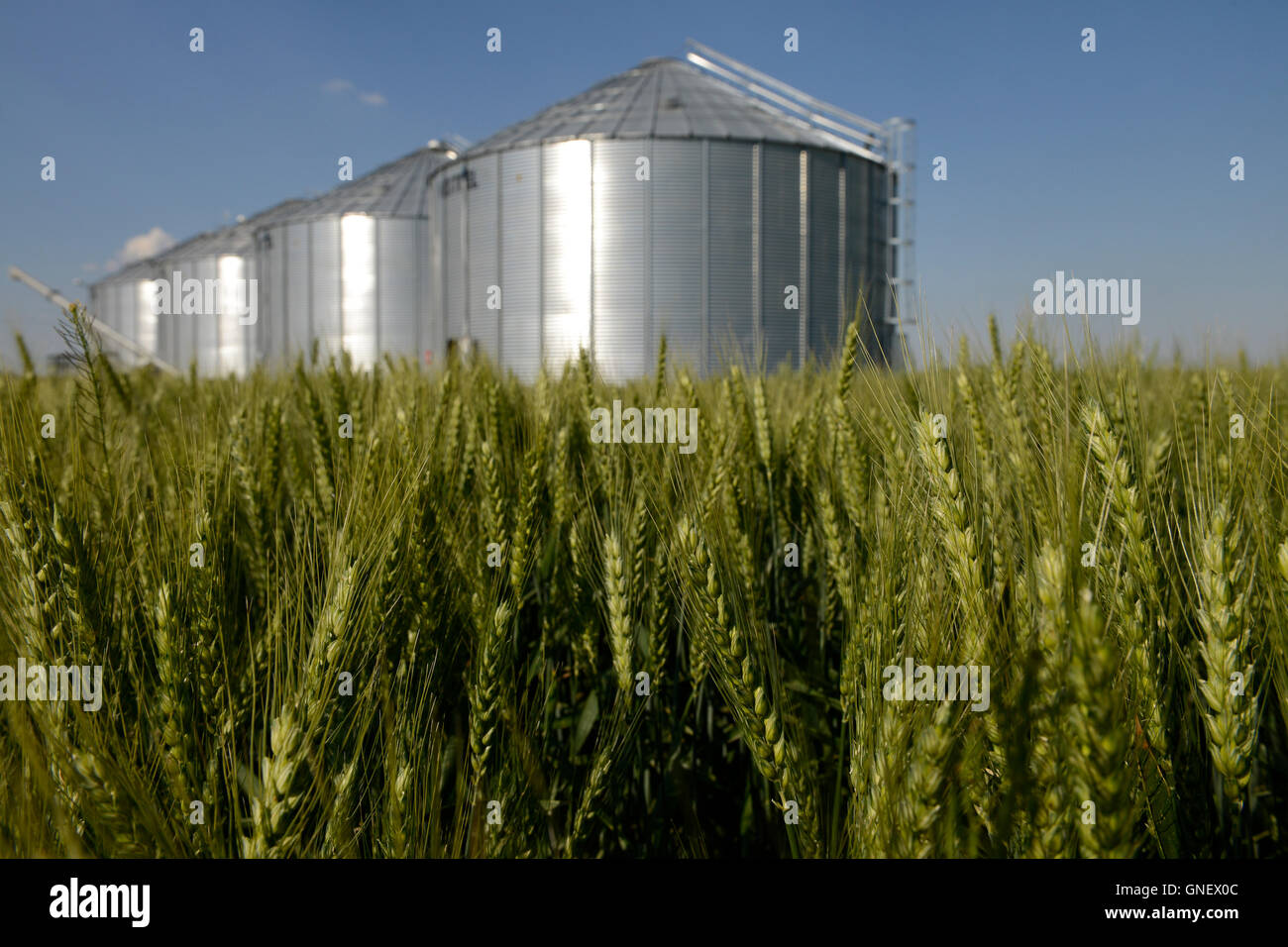 ROMANIA Banat, village Semlac, 2000 hectare farm of german farmer ...