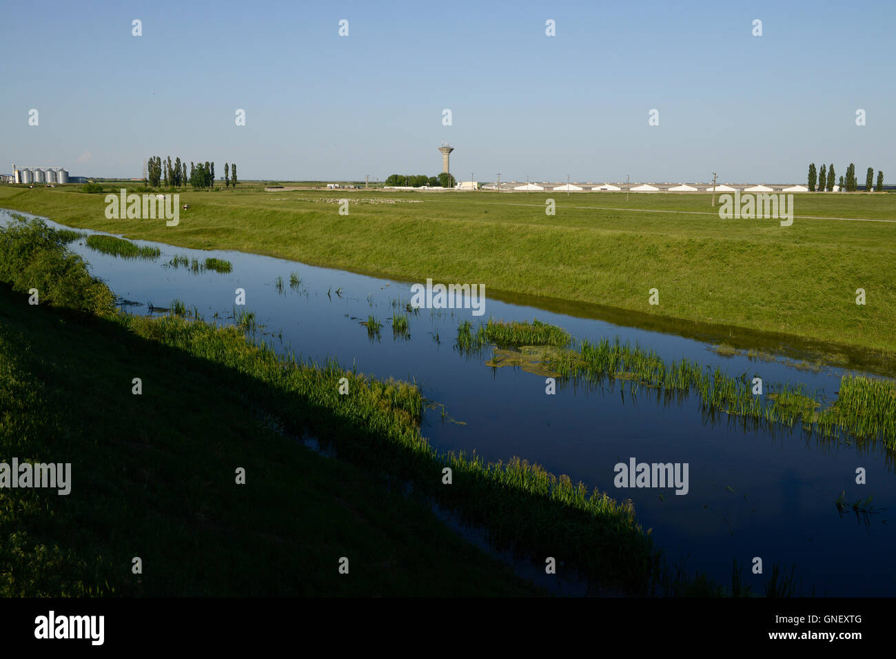 Temeswar timisoara romania europe hi-res stock photography and images ...