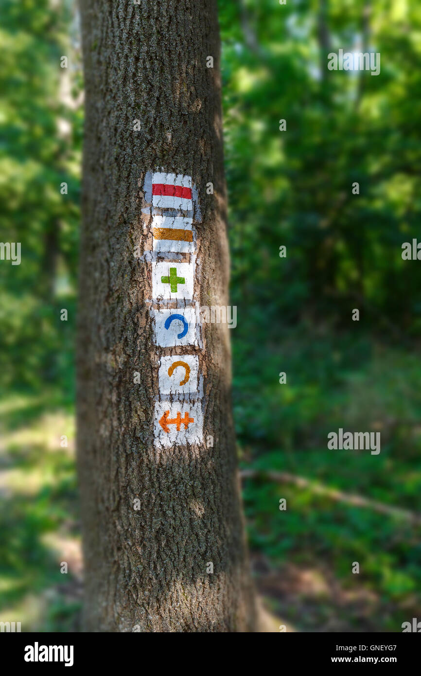 Walk sign tree hi-res stock photography and images - Alamy