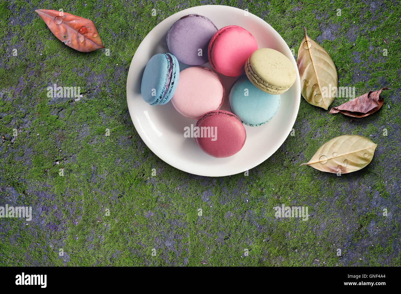 Macaroon full color in dish Green moss on old concrete floor Stock ...