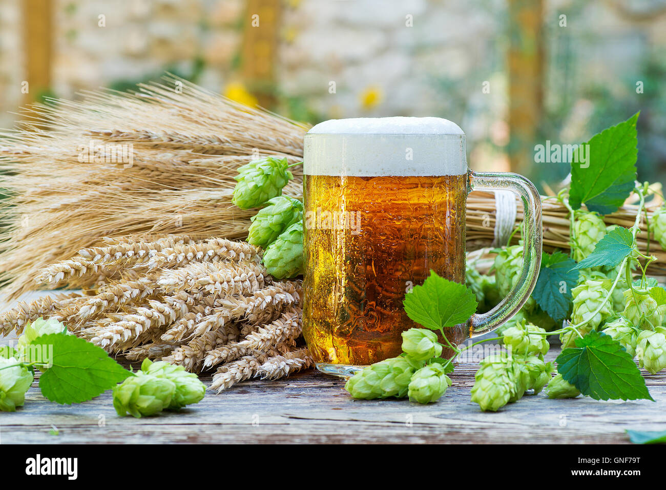glass of beer with hops and raw material for beer production Stock ...