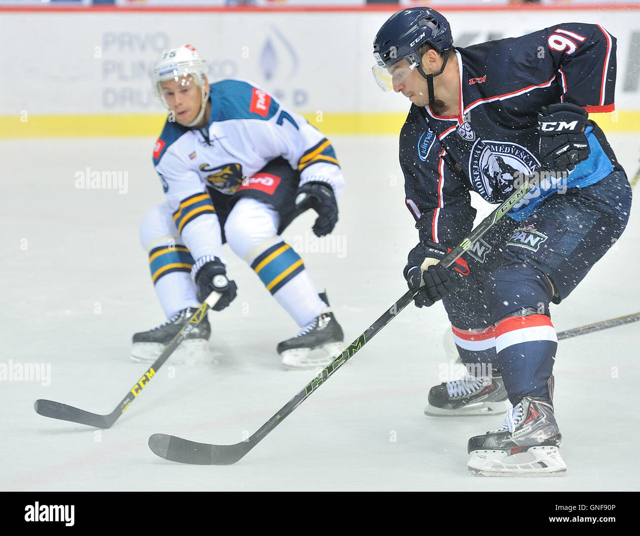 Francis pare hi-res stock photography and images - Alamy