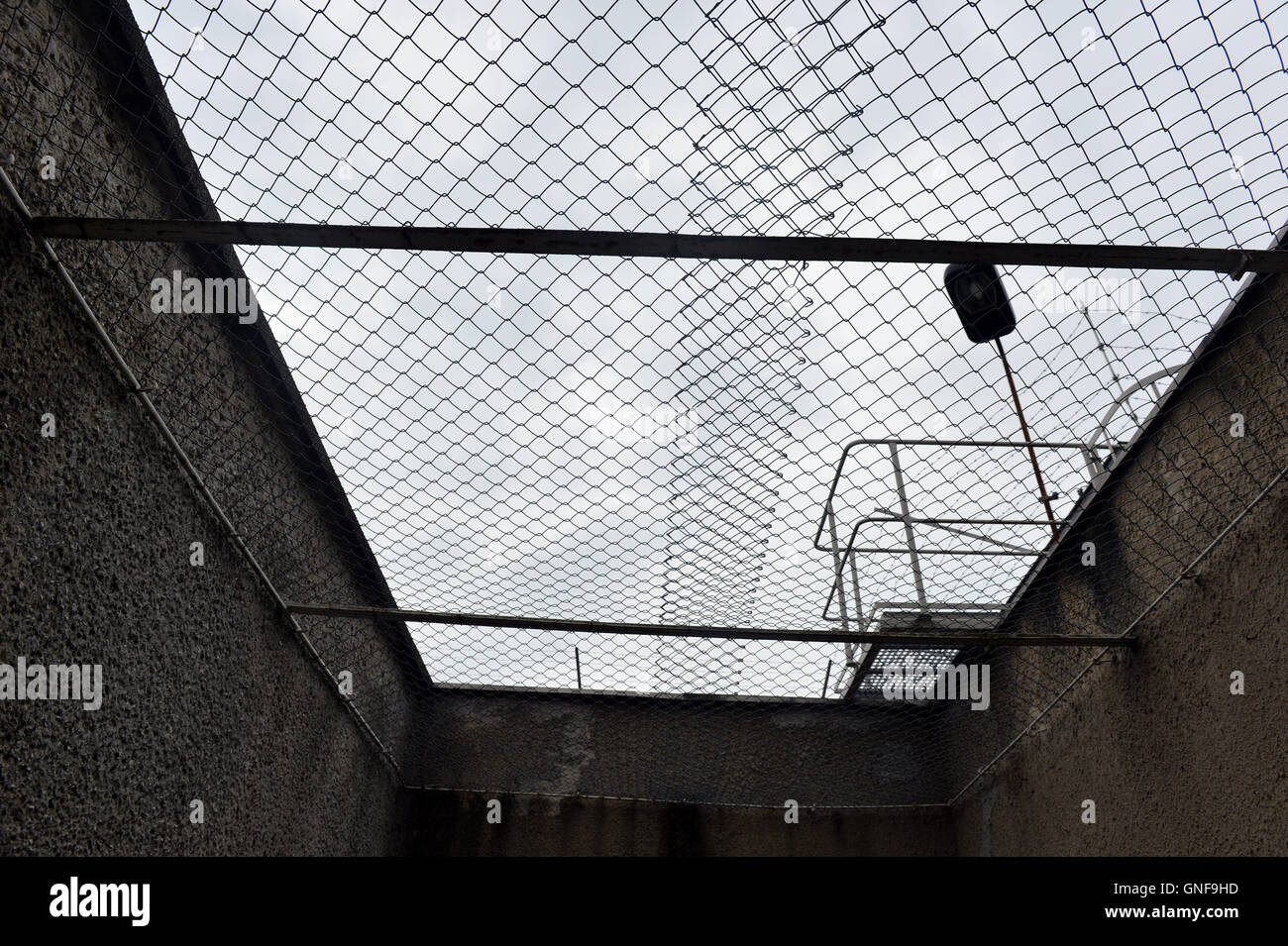 Berlin, Germany. 23rd Aug, 2016. A visitor looks at the 'tiger cage', a ...