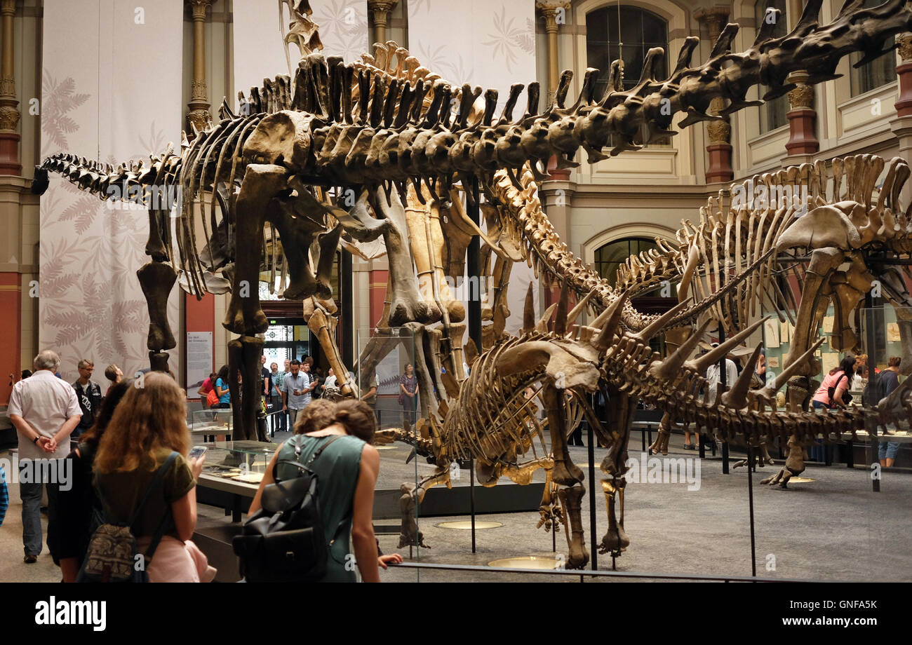 Berlin, Germany. 21st Aug, 2016. Visitors look at the skeletons of ...