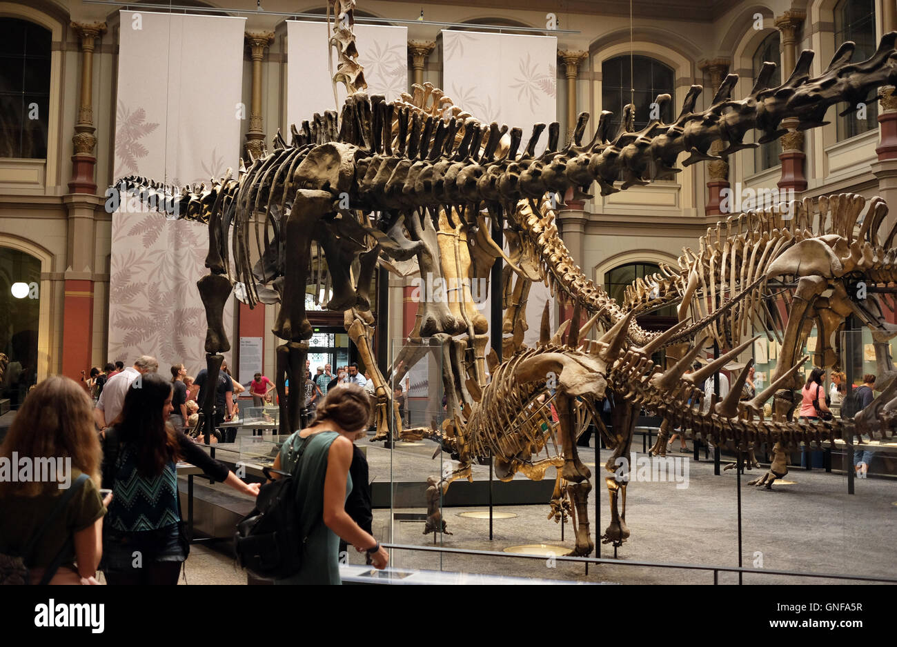 Berlin, Germany. 21st Aug, 2016. Visitors look at the skeletons of ...