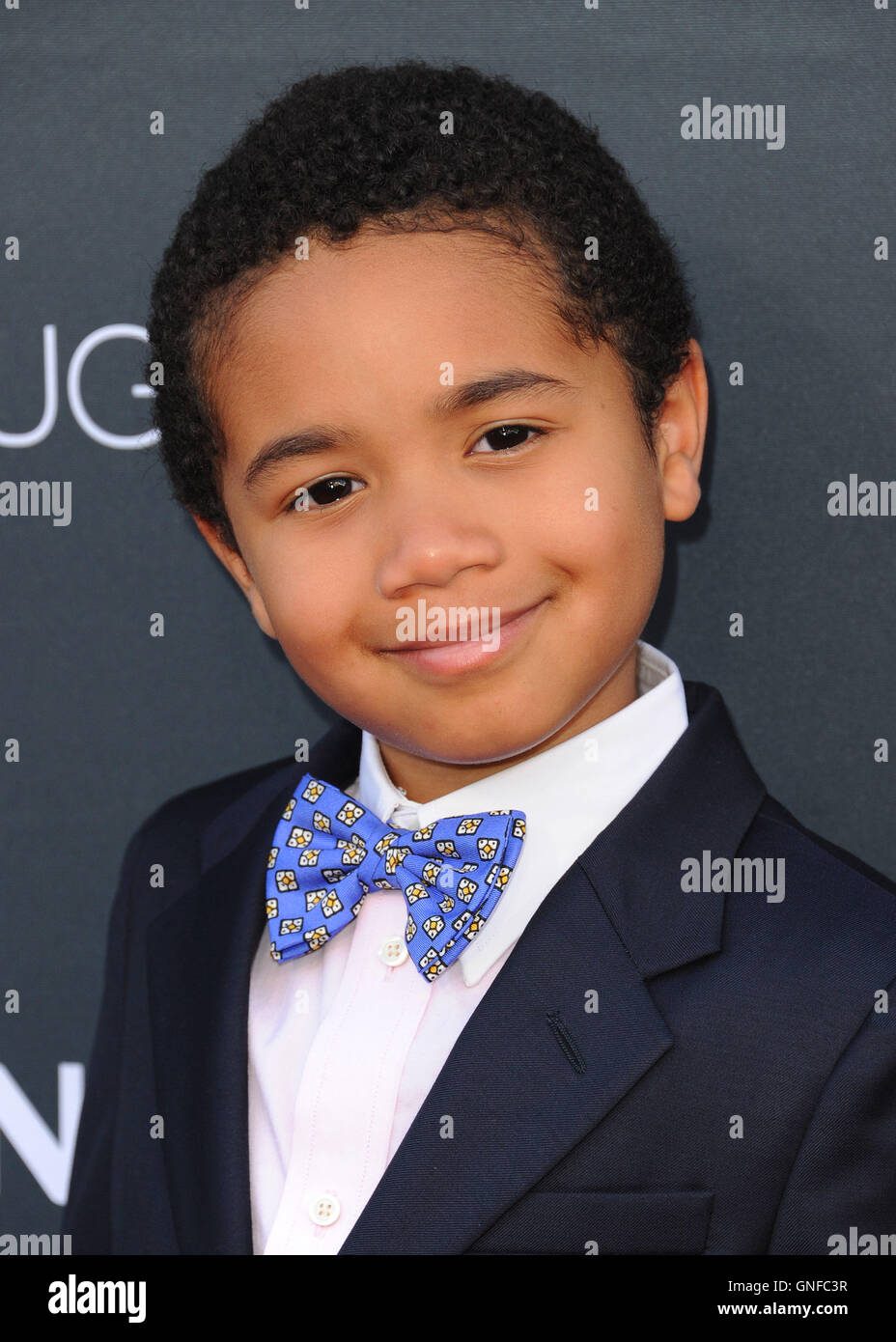 BURBANK, CA - AUGUST 29: Ethan Hutchison at the premiere of OWN's ...