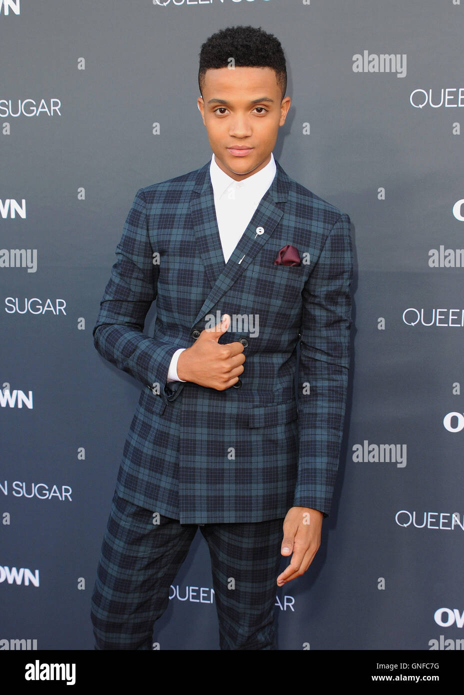 BURBANK, CA - AUGUST 29: Nicholas Ashe at the premiere of OWN's "Queen ...