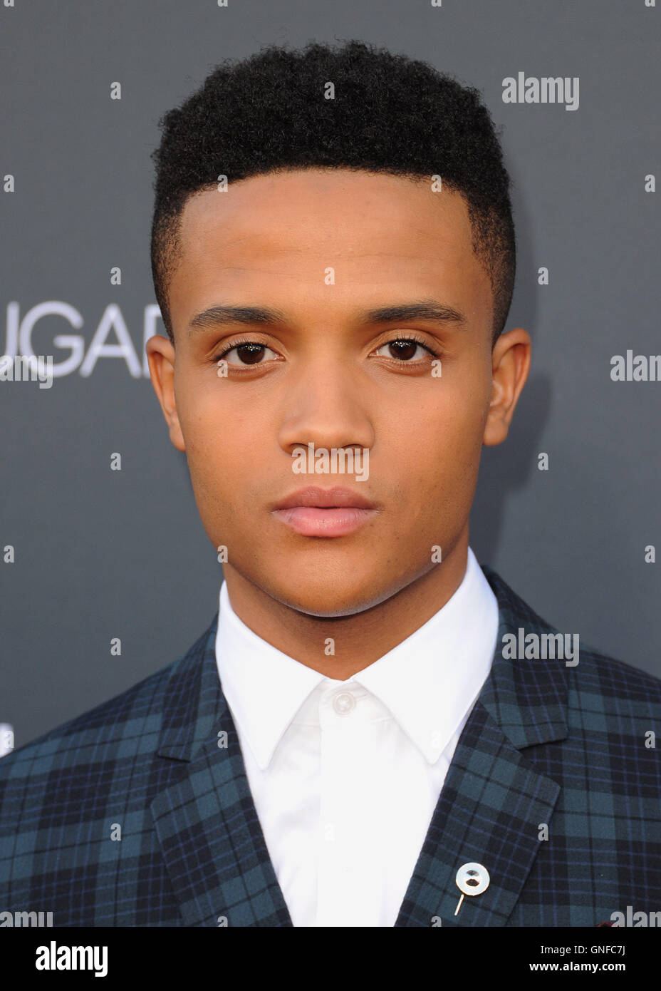 BURBANK, CA - AUGUST 29: Nicholas Ashe at the premiere of OWN's "Queen ...