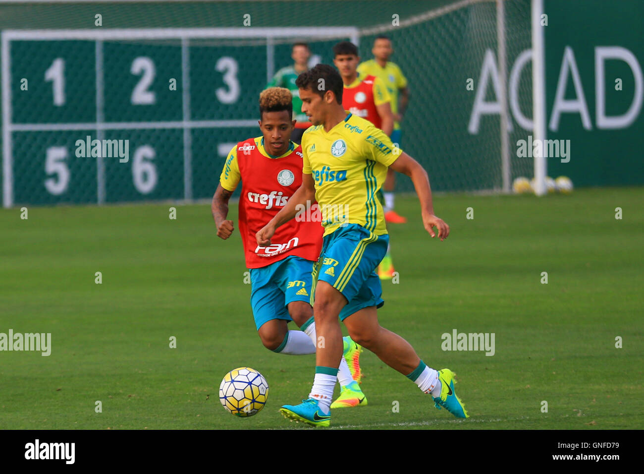 Sao Paulo, Brazil. 30th August, 2016. TREINO DO PALMEIRAS - Pictured ...