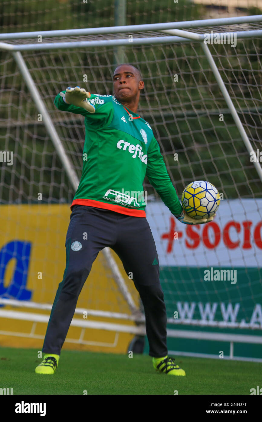Sao Paulo, Brazil. 30th August, 2016. TREINO DO PALMEIRAS - Pictured ...
