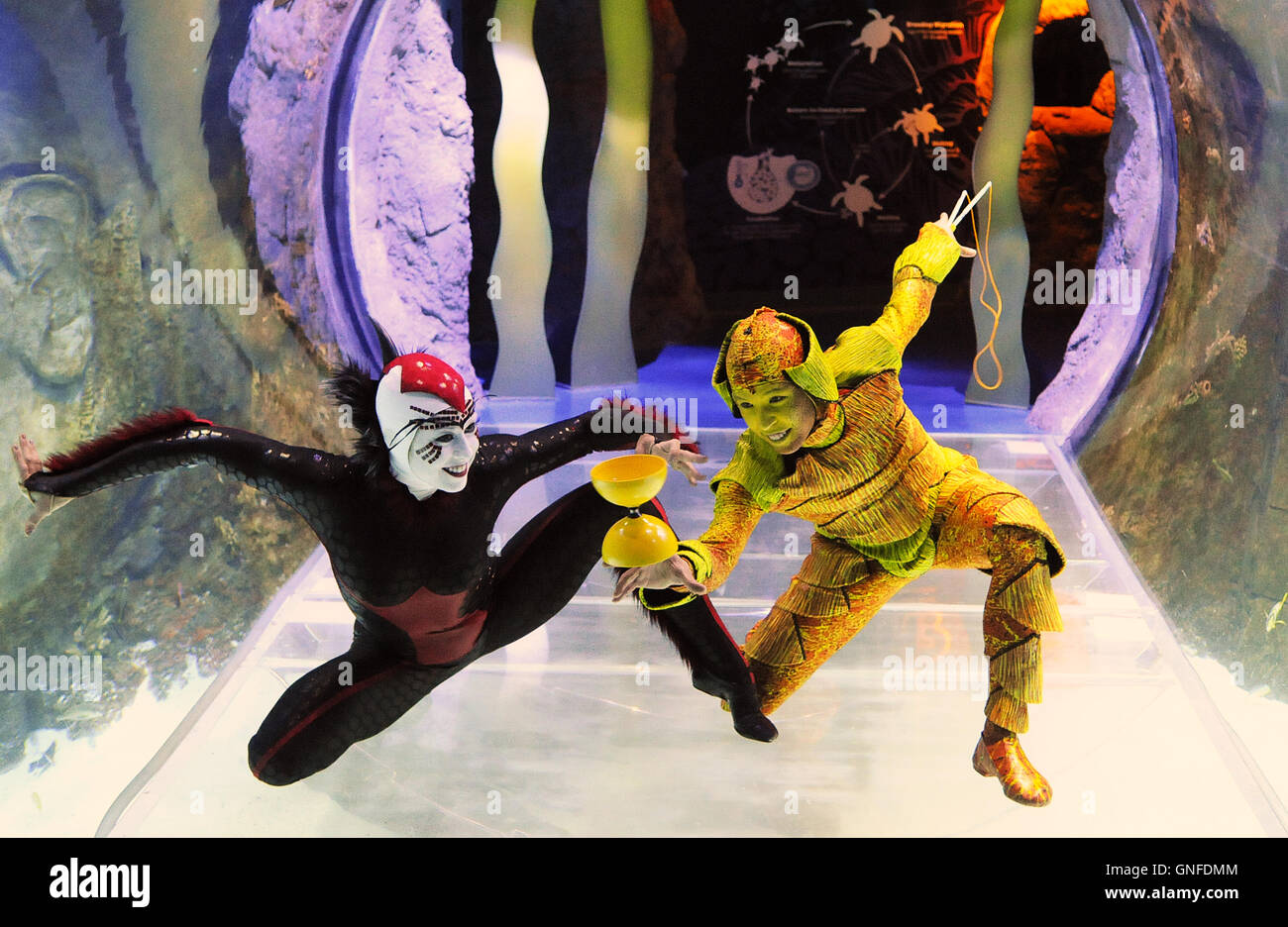 Jacksonville florida usa august hi-res stock photography and images - Alamy