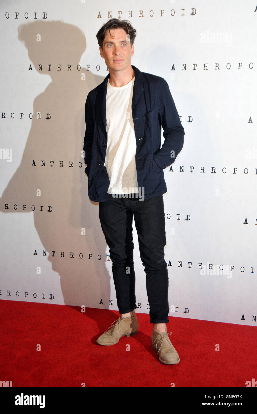 London, UK, 30 August 2016, Cillian Murphy attends film premiere of ...