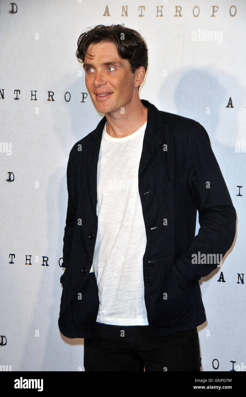 London, UK, 30 August 2016, Cillian Murphy attends film premiere of ...