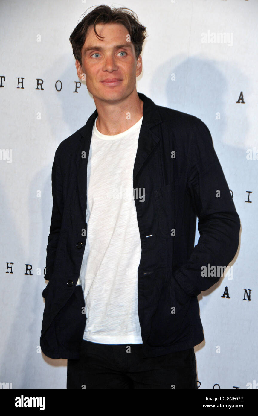 London, UK, 30 August 2016, Cillian Murphy attends film premiere of ...