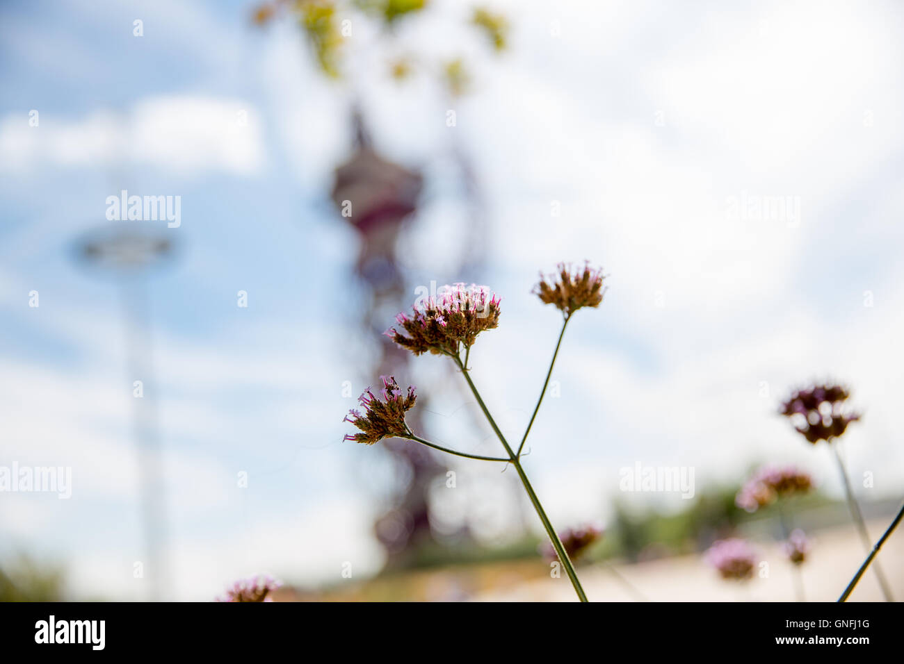 London, UK. 31st August, 2016. UK Weather: Beautiful weather at midday ...