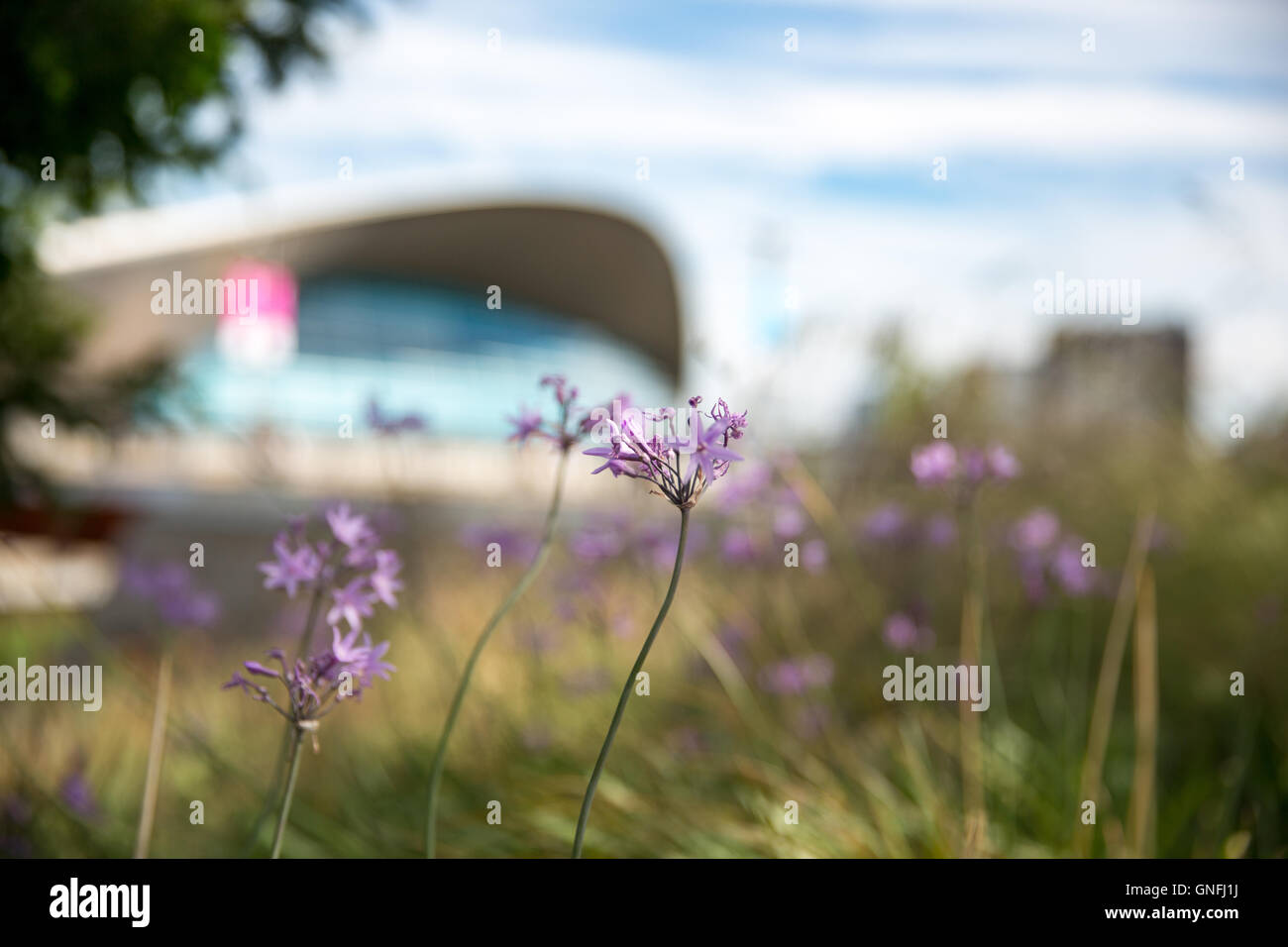 London, UK. 31st August, 2016. UK Weather: Beautiful weather at midday ...