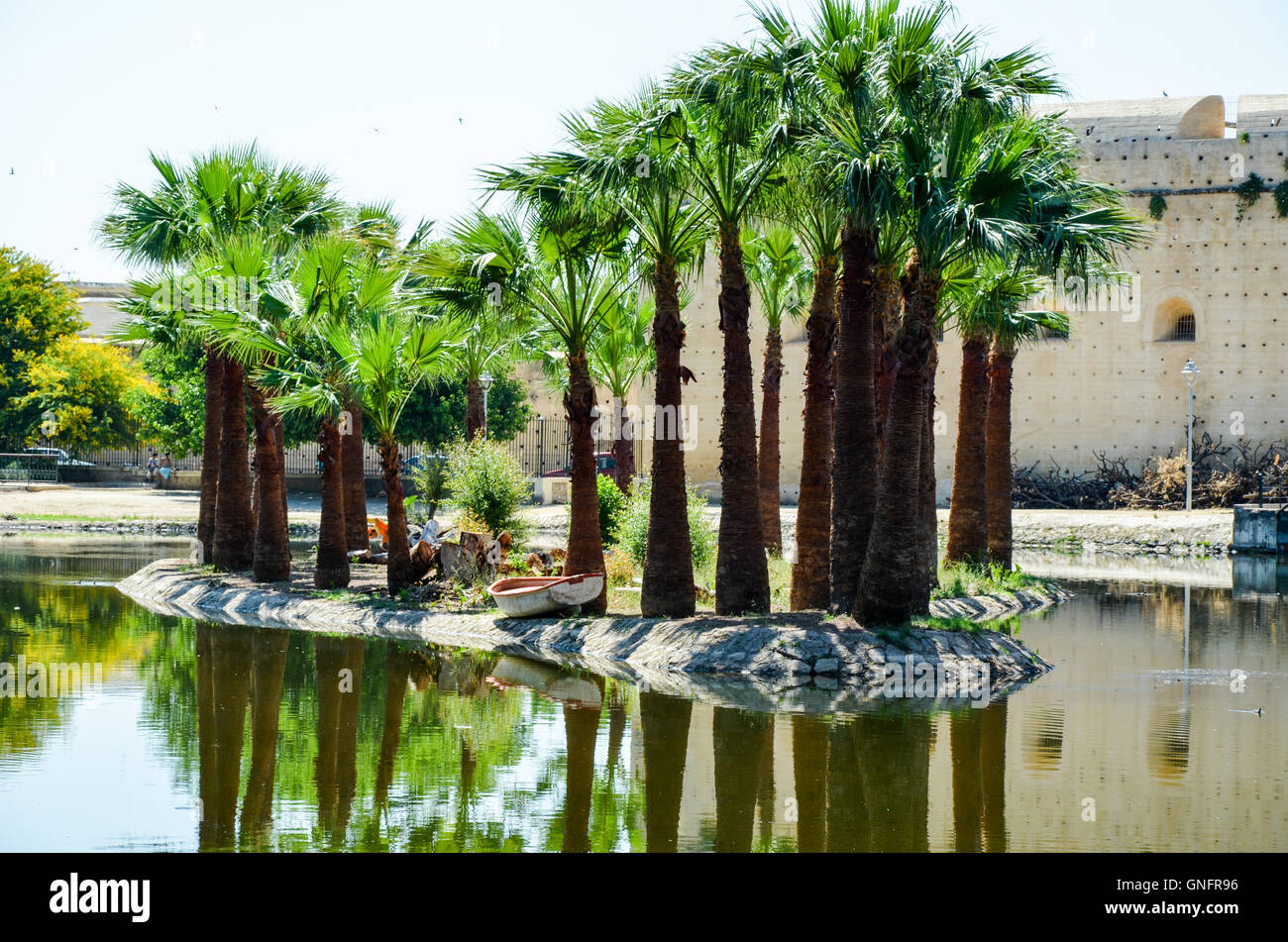 Jardin Jnan Sbil, Royal Park in Fes with its lake and towering palms ...