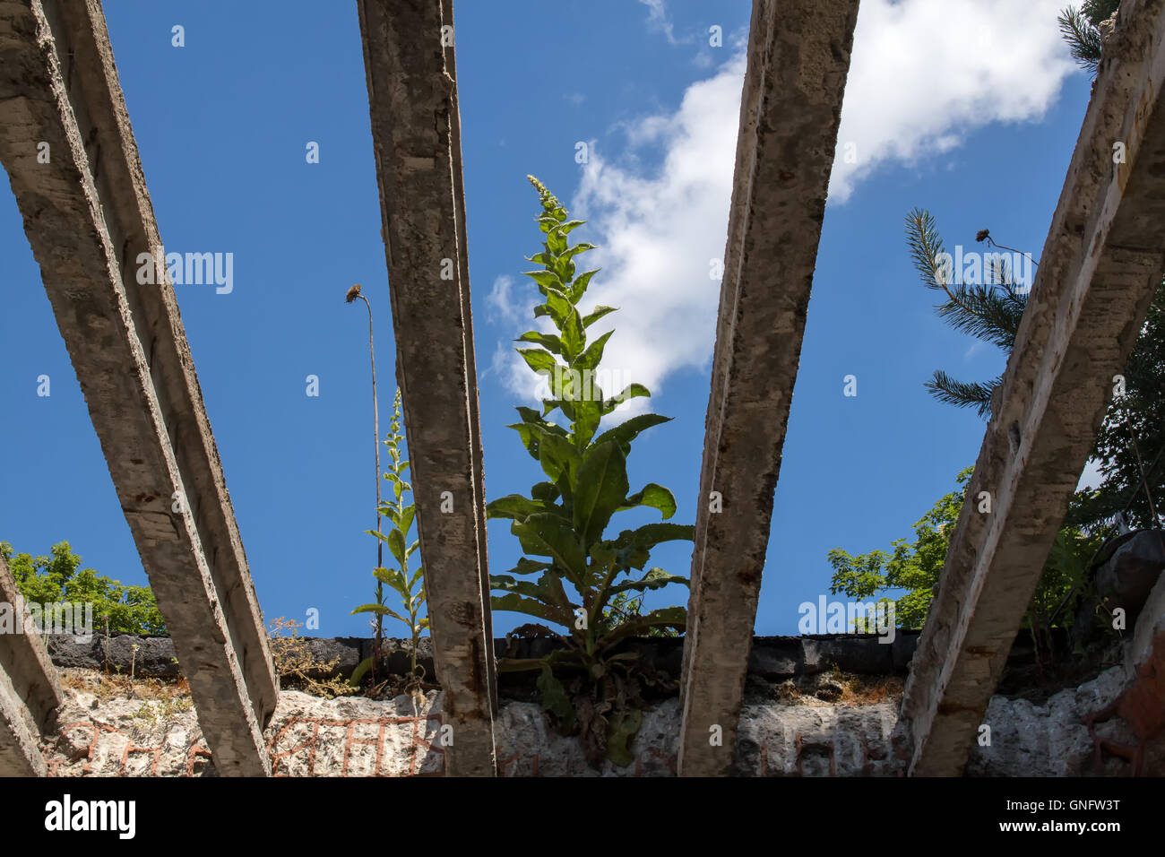 Nature separated from human or human separated from nature Stock Photo ...