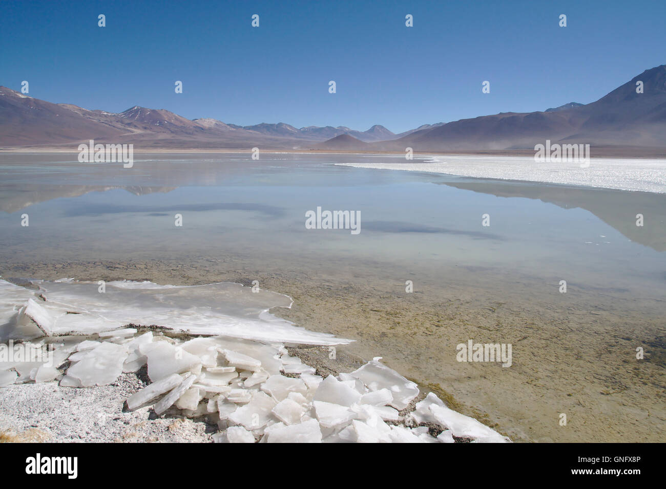 Laguna andina hi-res stock photography and images - Alamy