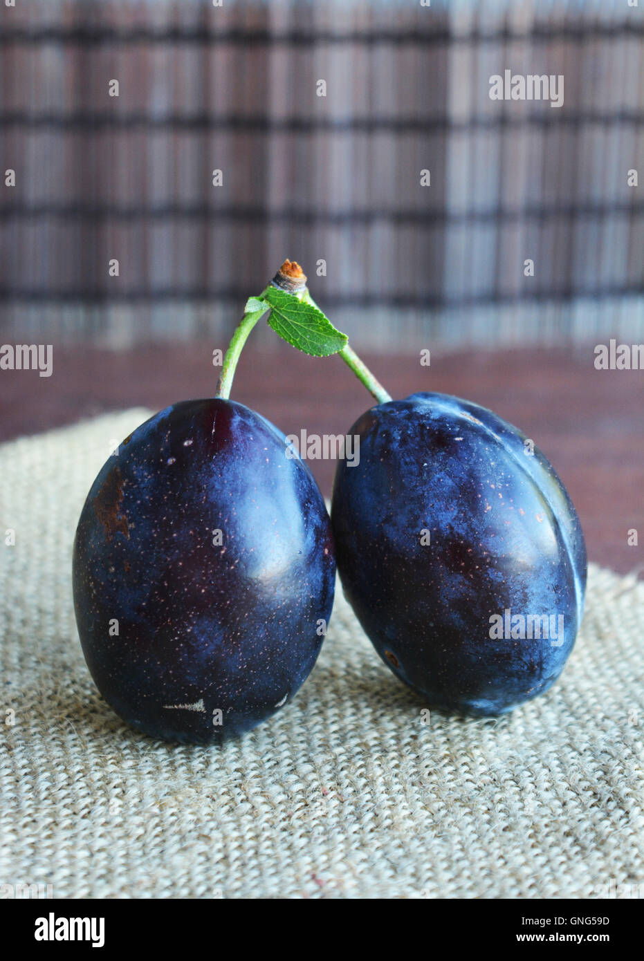 Juicy dark blu plums fruits in hands Stock Photo - Alamy