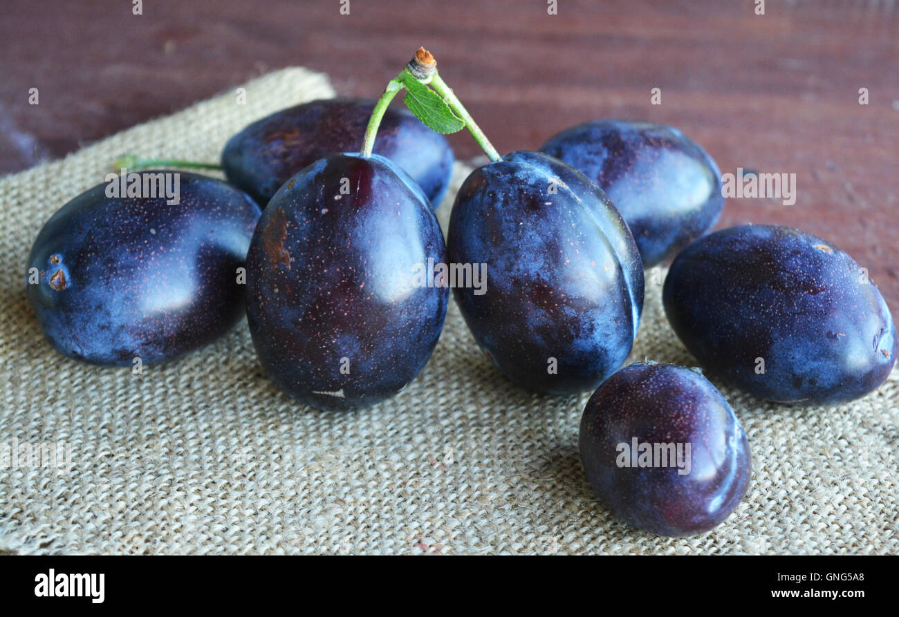 Juicy dark blu plums fruits in hands Stock Photo - Alamy