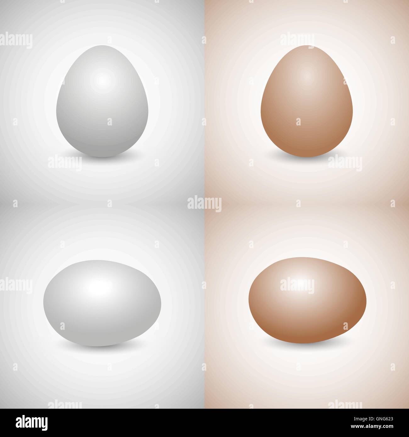 Icons egg, vector illustration Stock Vector Image & Art - Alamy