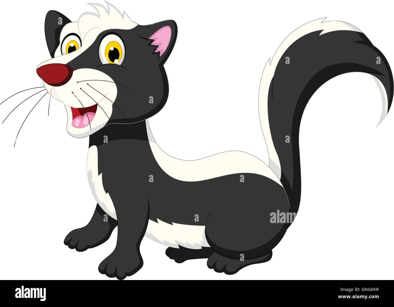 Skunk animal Cut Out Stock Images & Pictures - Alamy