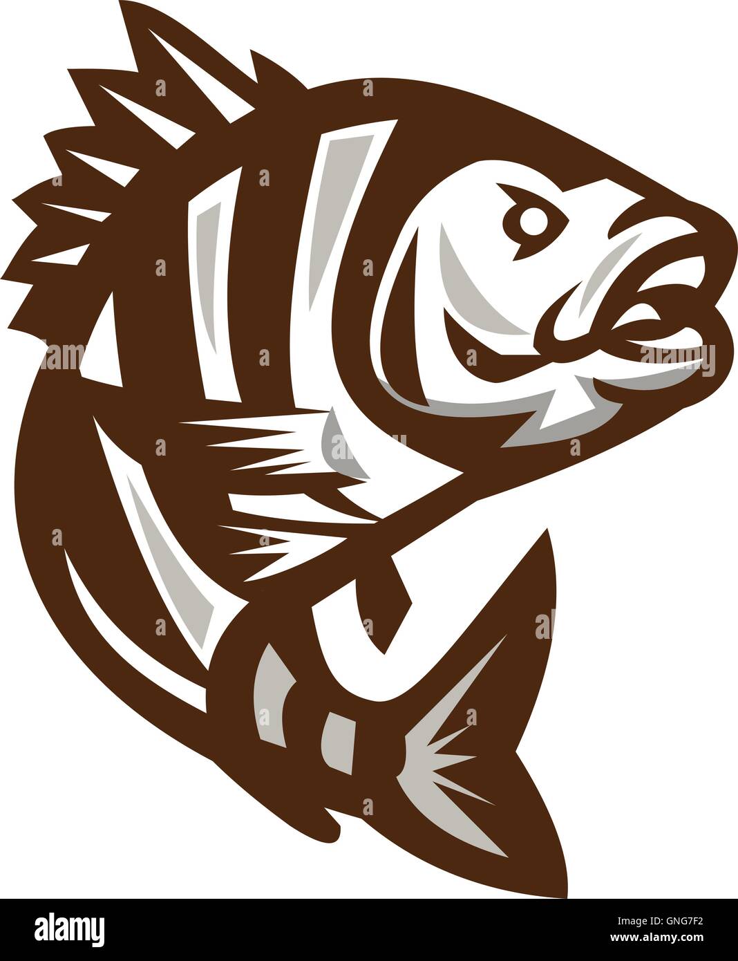 Sheepshead fish hi-res stock photography and images - Alamy