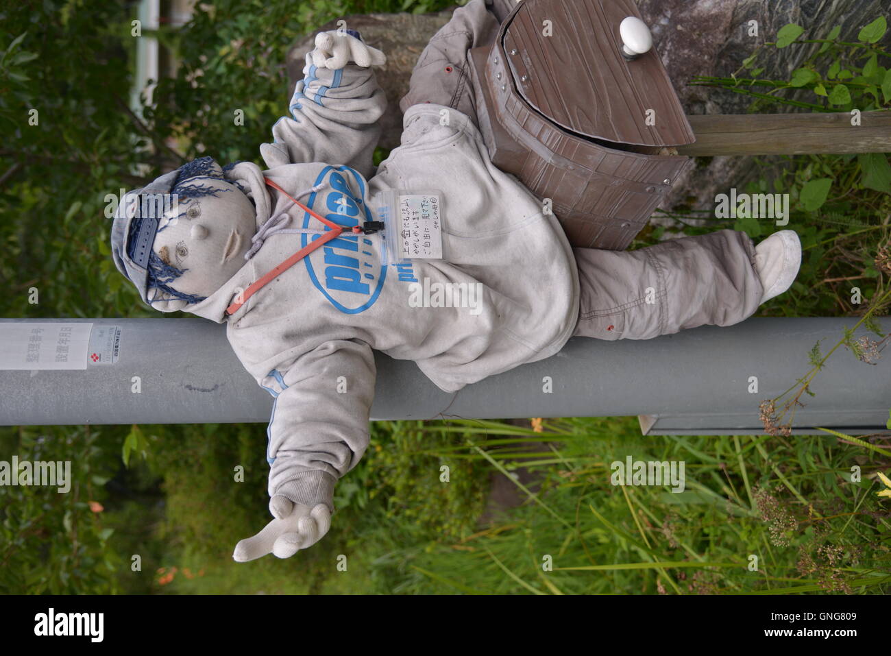 Aouzou hi-res stock photography and images - Alamy