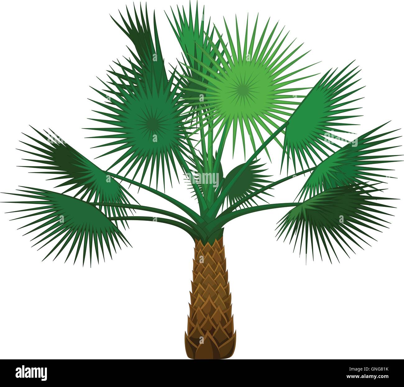 palm tree cartoon for you design Stock Vector Image & Art - Alamy