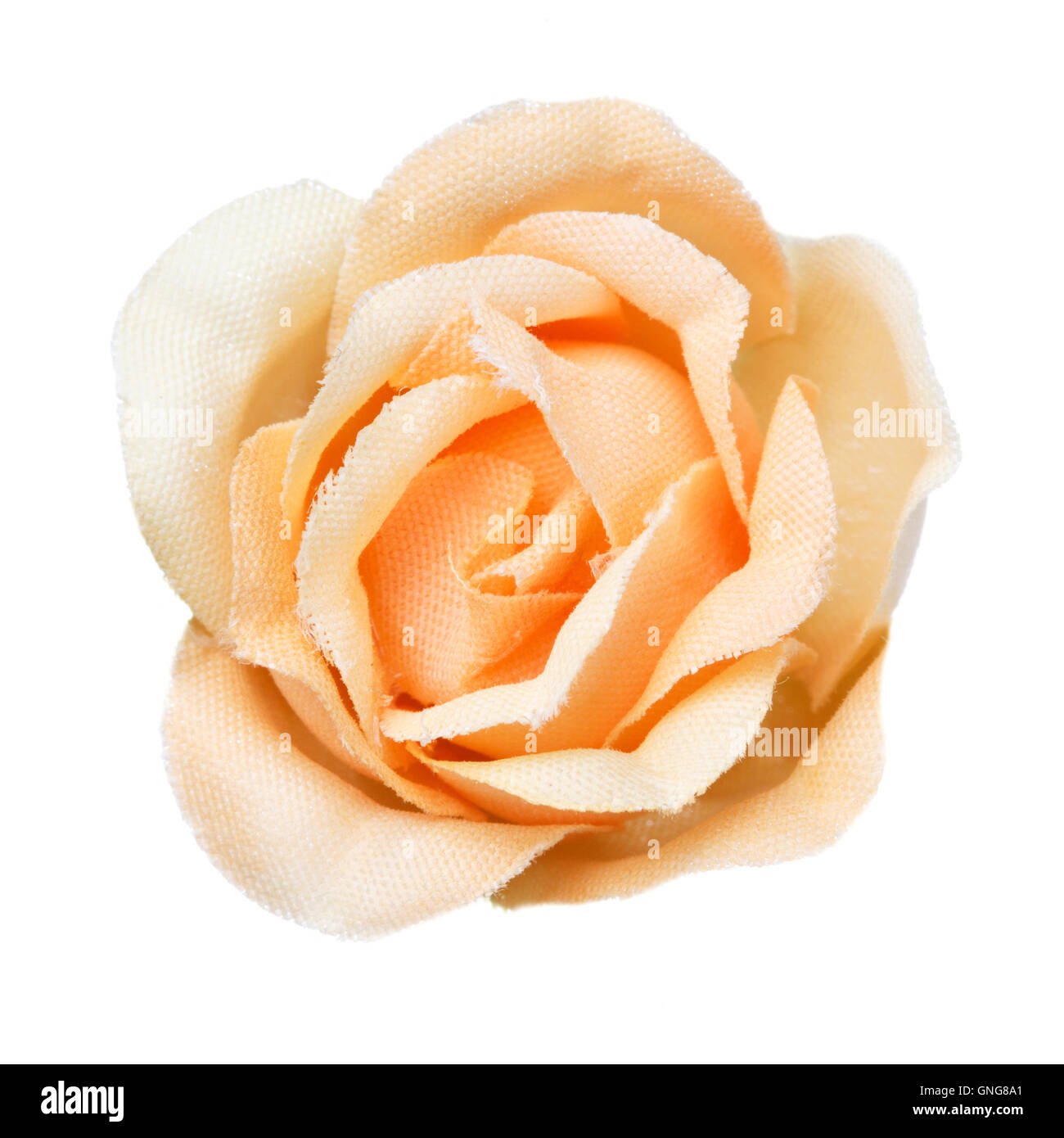 flower head isolated, beautiful decoration,top view Stock Photo - Alamy