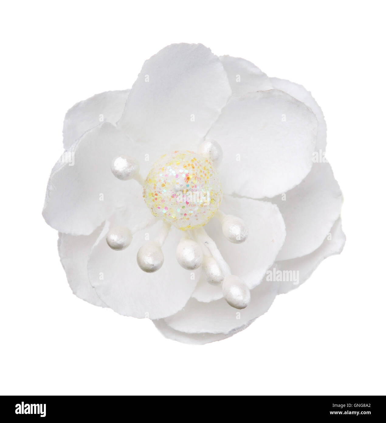 flower head isolated, beautiful decoration,top view Stock Photo - Alamy