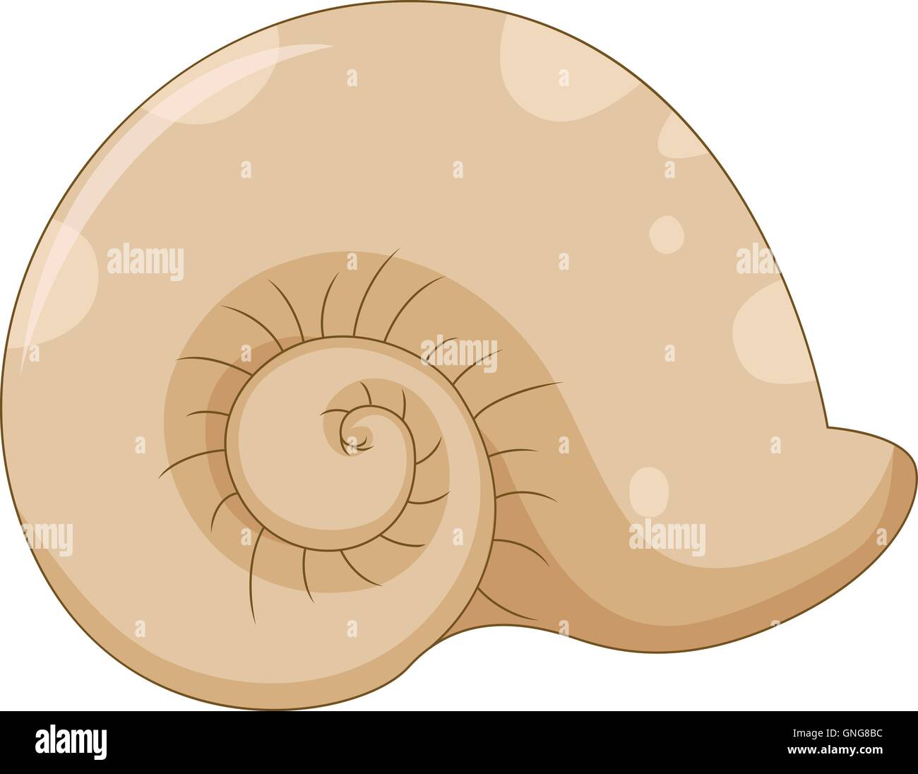 Cute seashell cartoon design hi-res stock photography and images - Alamy