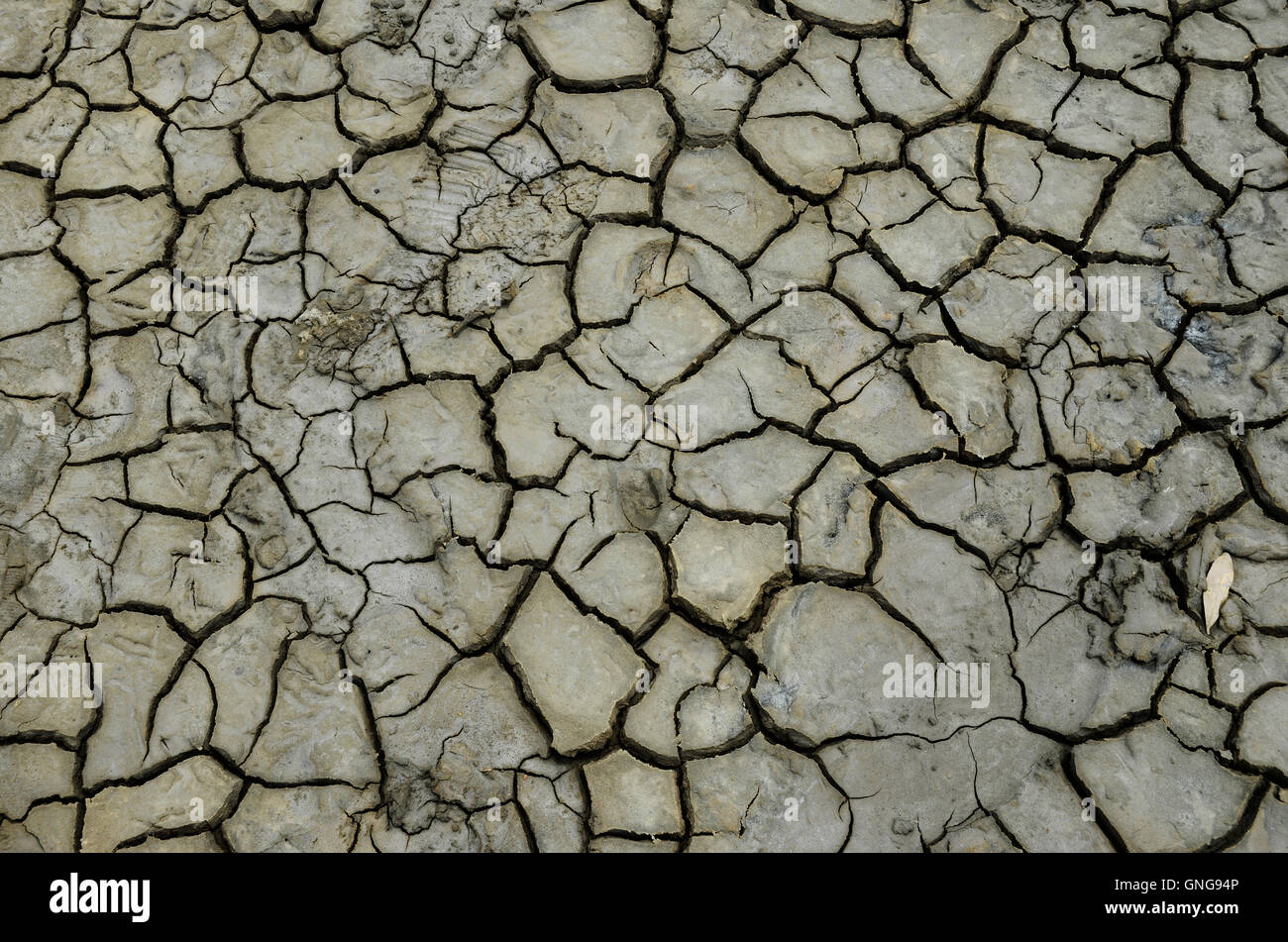 Close up of pattern of Dry mud for texture or background Stock Photo ...