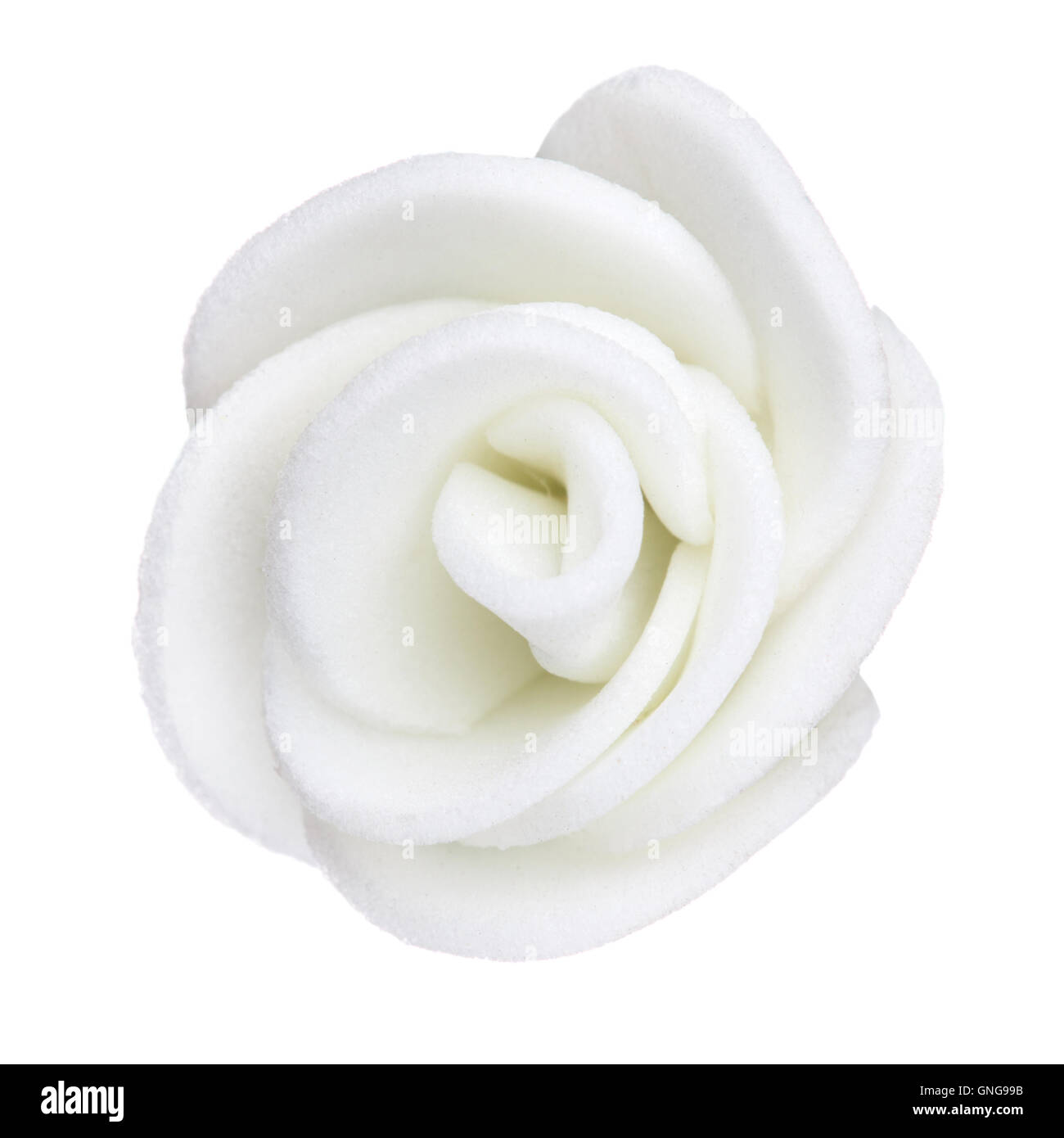 flower head isolated, beautiful decoration,top view Stock Photo - Alamy