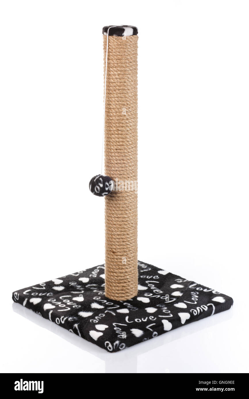 Cat scratching post on a white background Stock Photo - Alamy