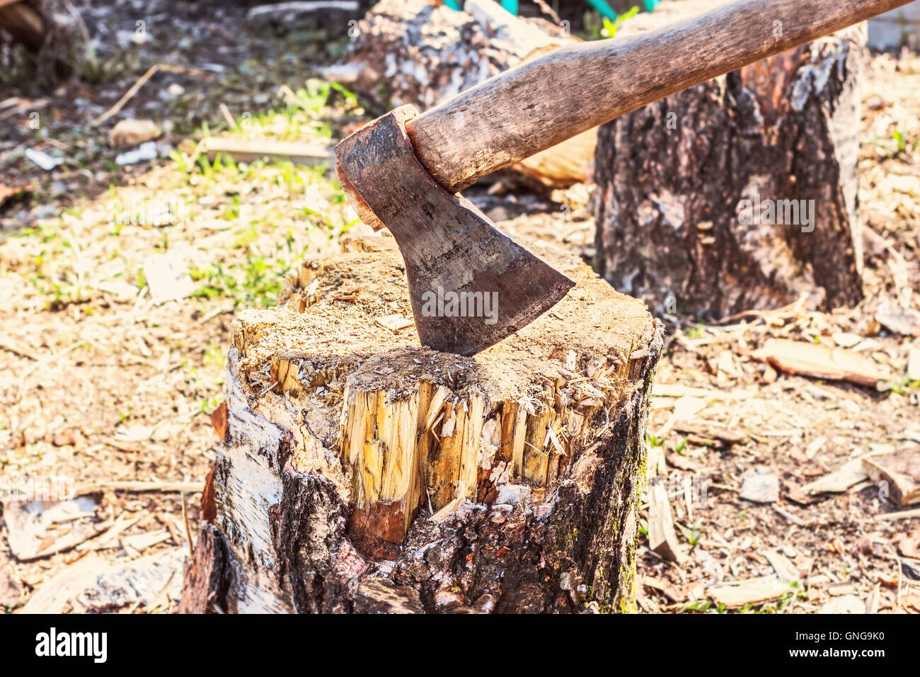 Old axe in wood at sunny weather Stock Photo - Alamy