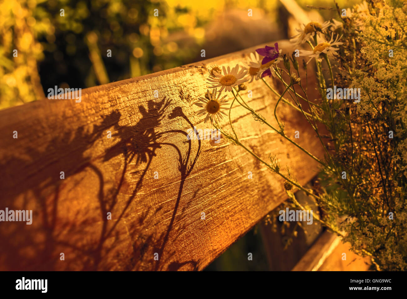 Setting sun shadow hi-res stock photography and images - Alamy