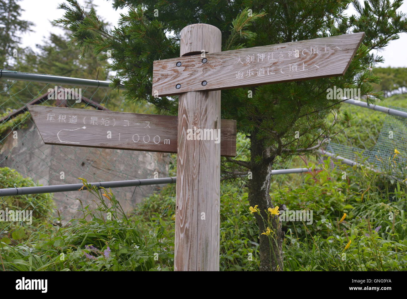 Aouzou hi-res stock photography and images - Alamy