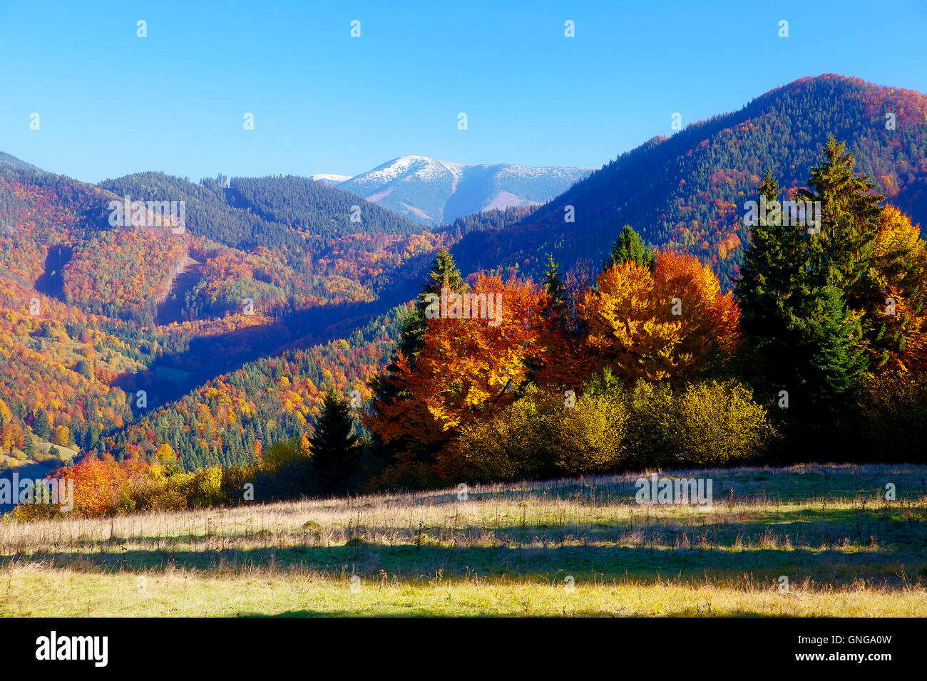 Beautiful mountain autumn landscape with colorful forest Stock Photo ...