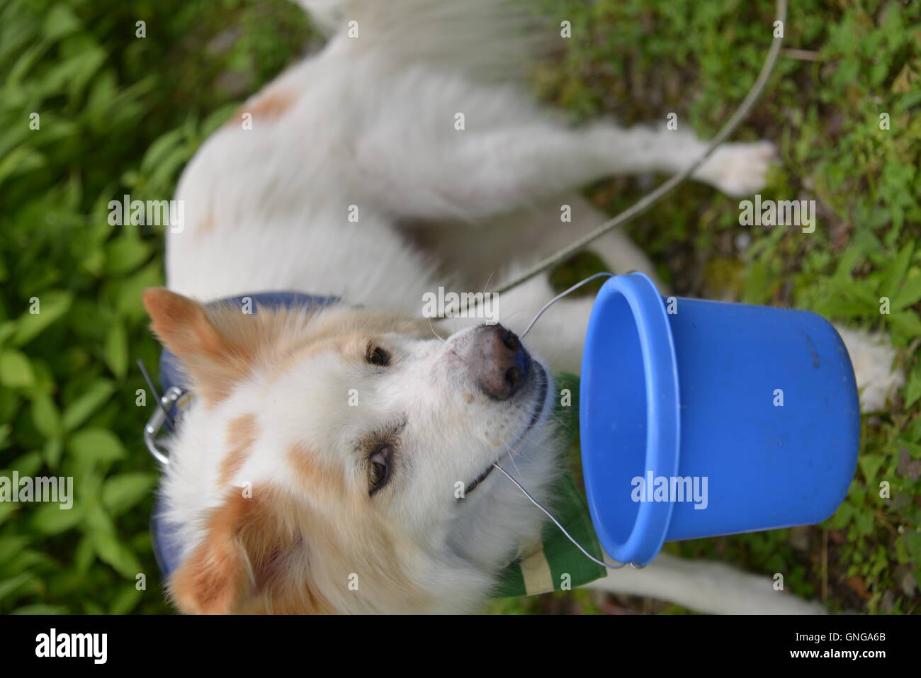 Aouzou hi-res stock photography and images - Alamy