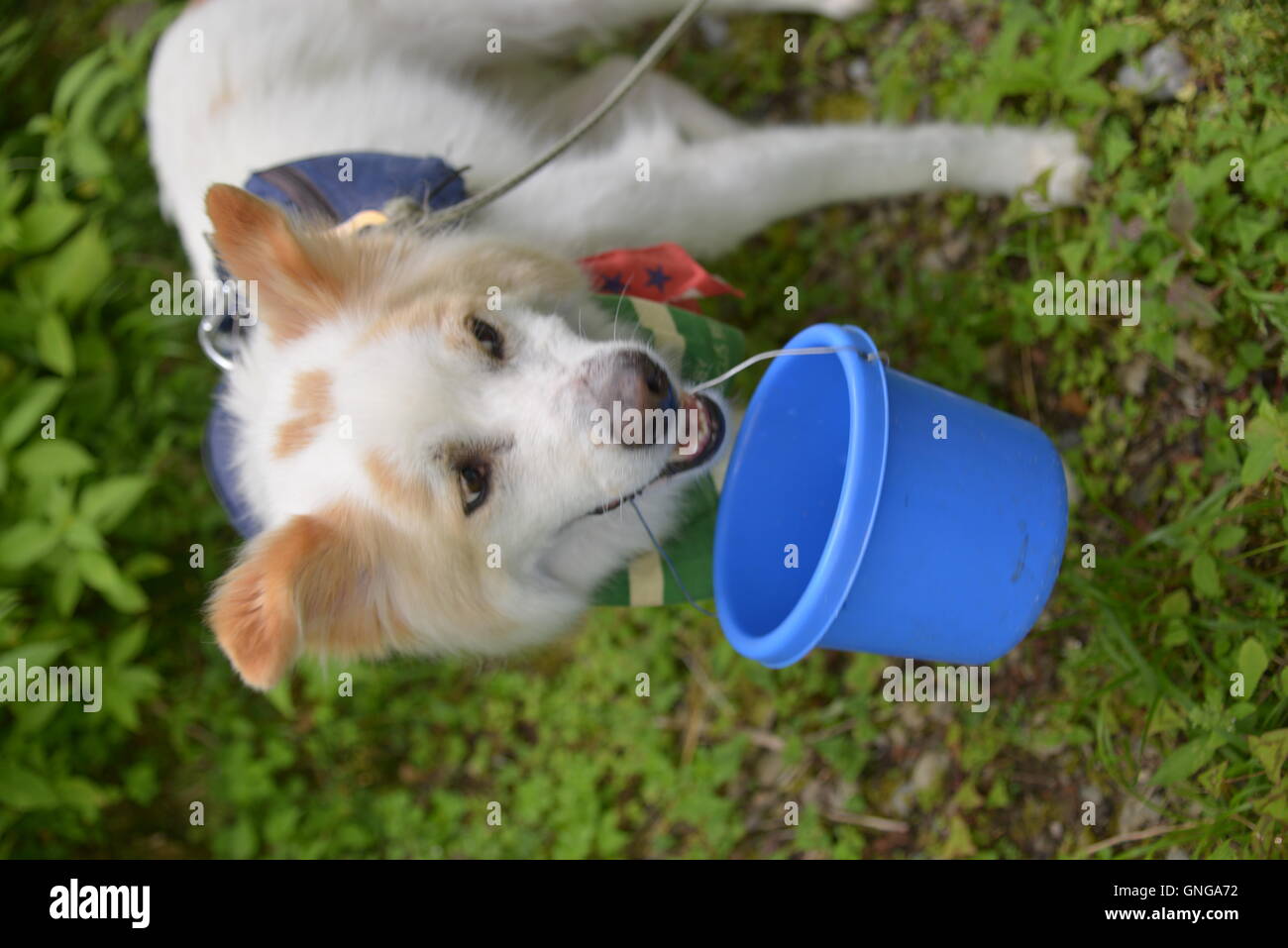 Aouzou hi-res stock photography and images - Alamy