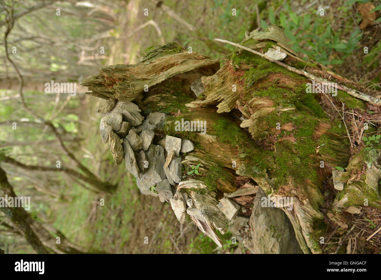 Aouzou hi-res stock photography and images - Alamy