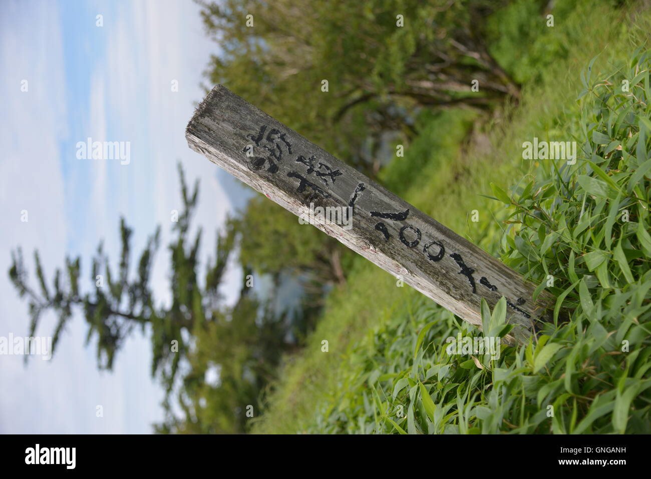 Aouzou hi-res stock photography and images - Alamy