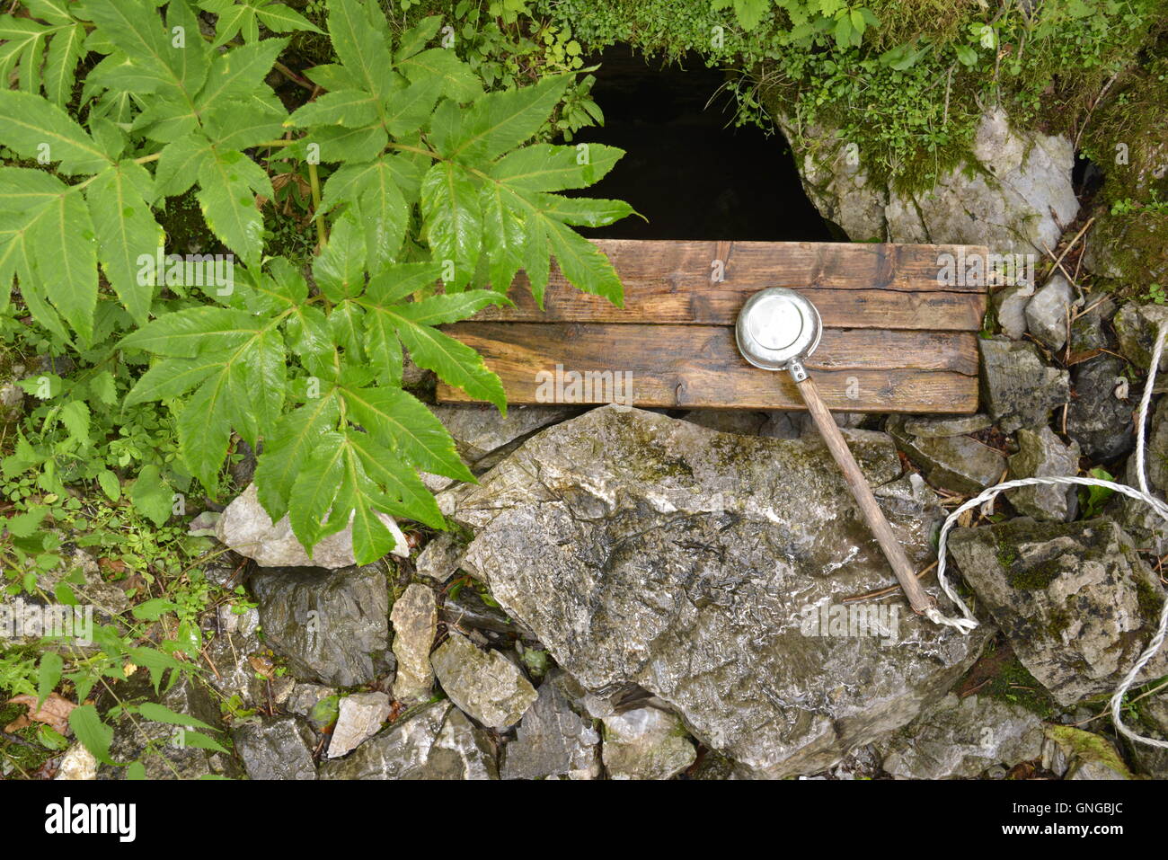 Aouzou hi-res stock photography and images - Alamy