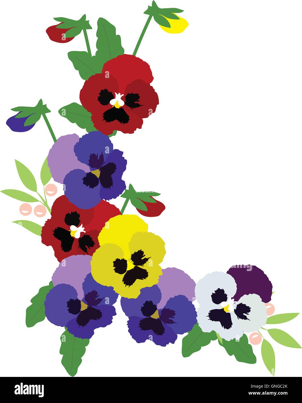 Vector Pansies Flowers Stock Vector Image & Art - Alamy