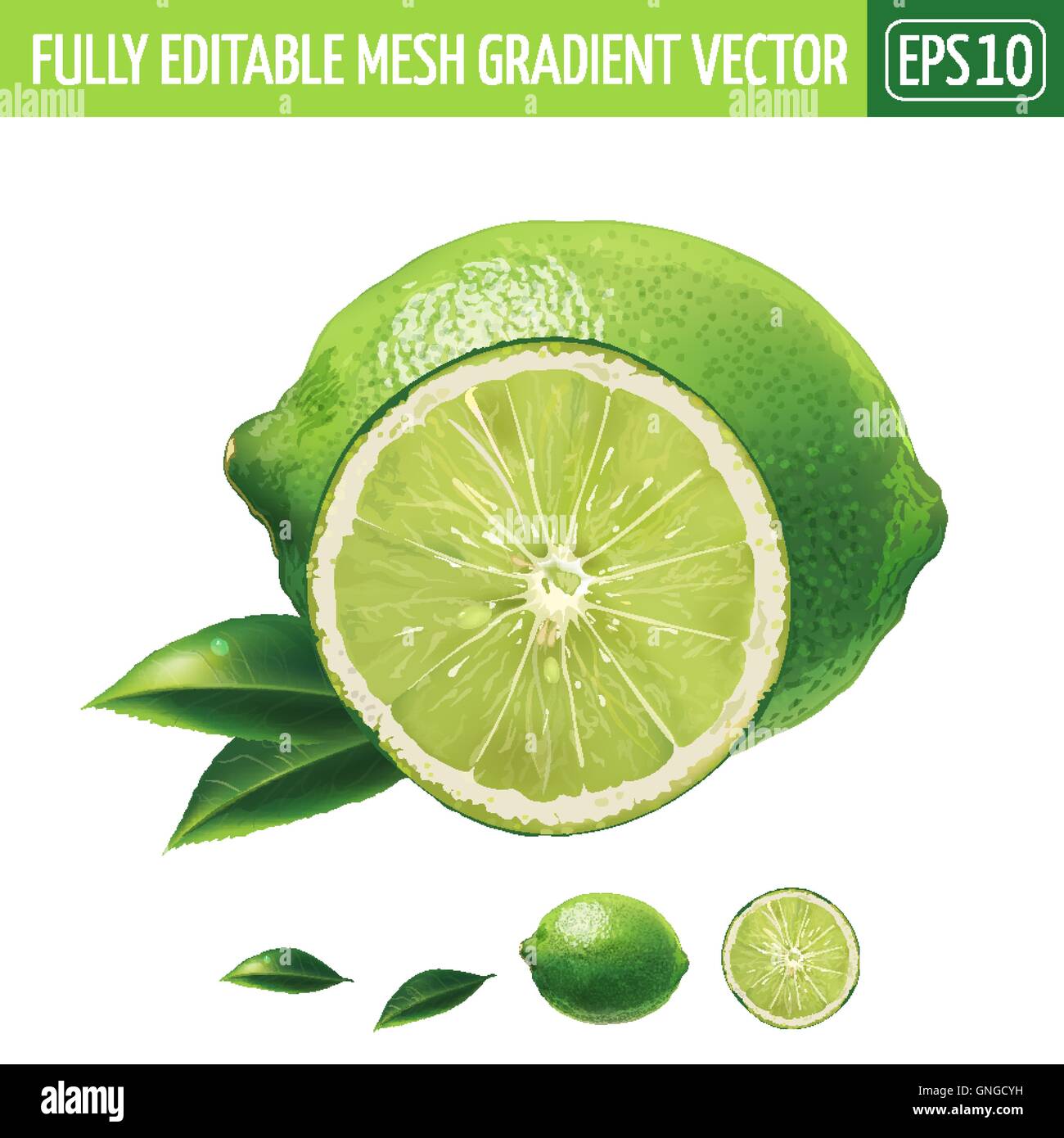 Lemon And Lime Clipart