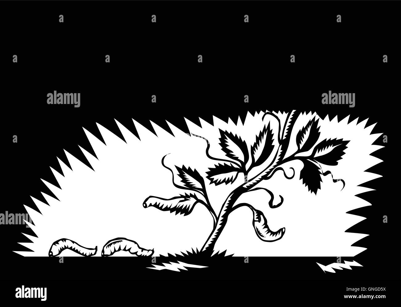 Maggots Stock Vector Images - Alamy