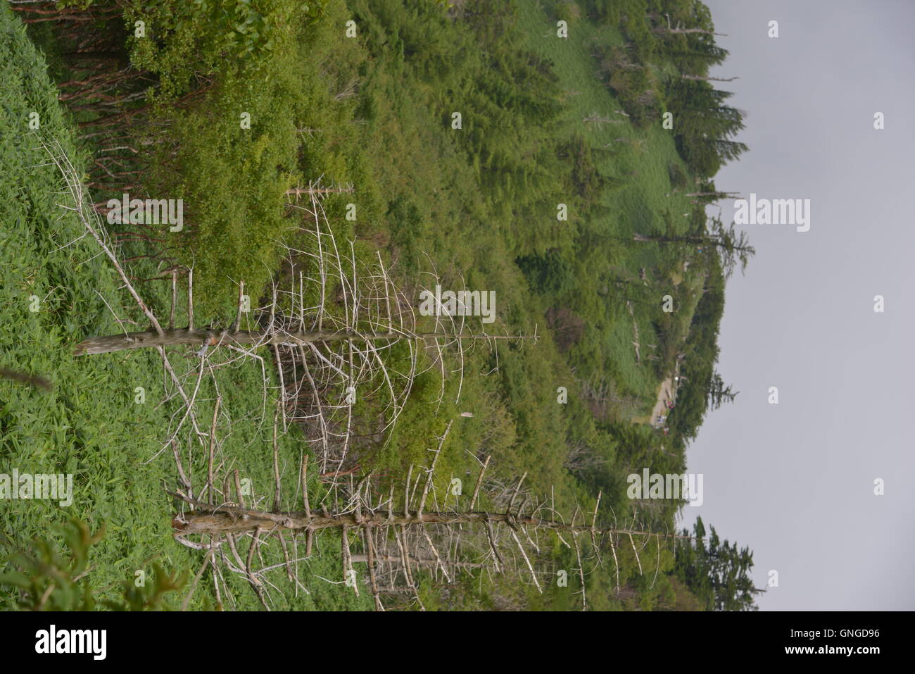 Aouzou hi-res stock photography and images - Alamy