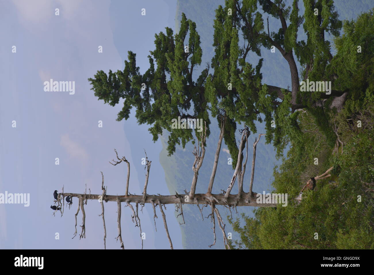 Aouzou hi-res stock photography and images - Alamy